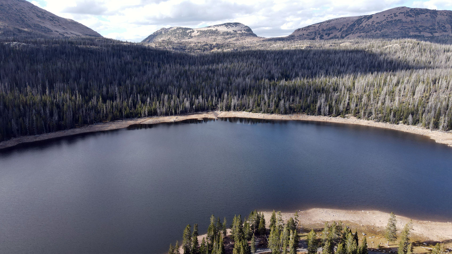 Trial Lake Campground - SeeMyCampsite.com